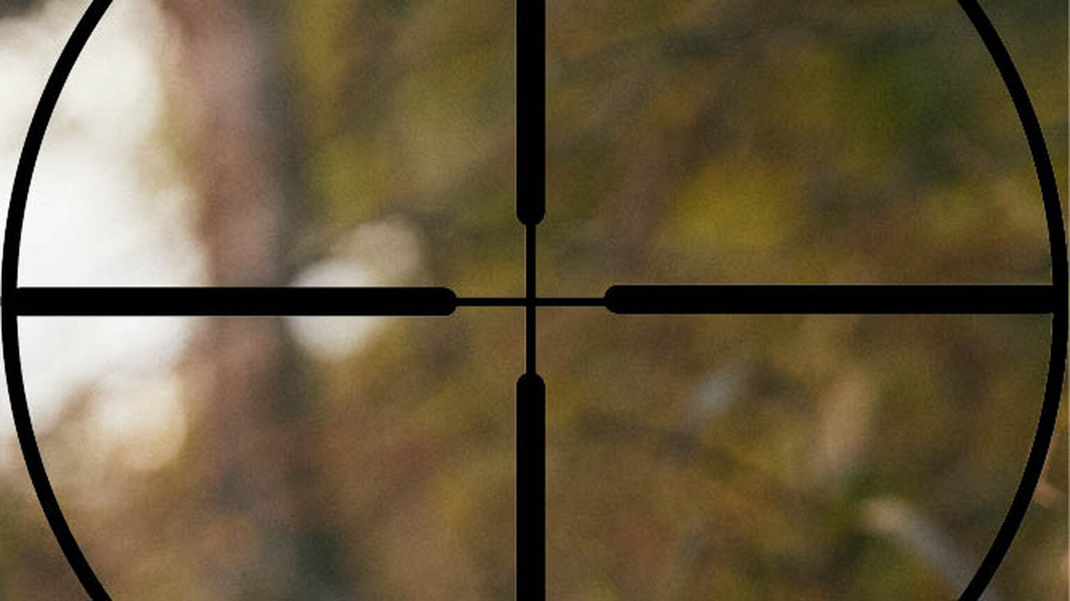 Bushnell Elite 4500 4X 4-16x50 Multi-X Scope - Mountain Man Outdoors