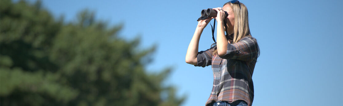 Backyard Birding For Beginners