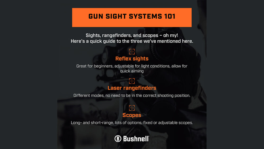 Gun Sight Systems for Beginners