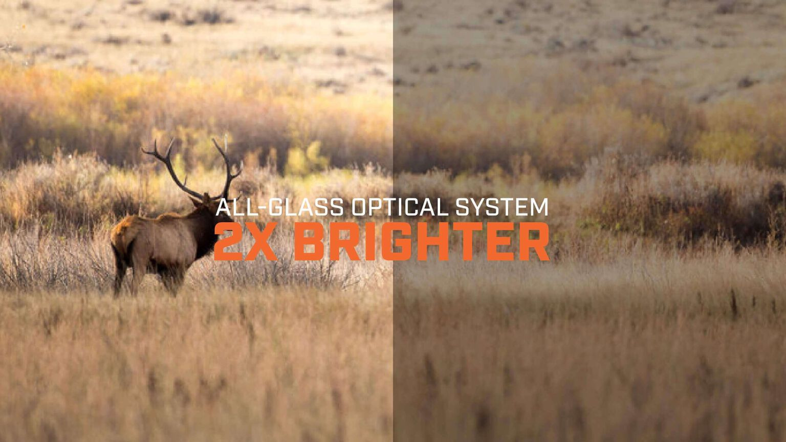 Bone Collector Laser Rangefinders