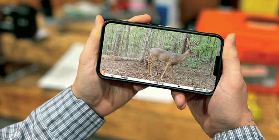 R5 4-12x40 Riflescope with Illuminated DOA-LRH800 Reticle | Bushnell